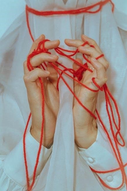 Vaillant EcoTec Pro 24 Manual | Official Guide & Troubleshooting