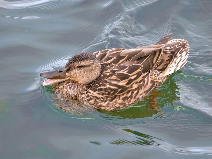 Ripples Guide: Master the Ripple Effect Easily