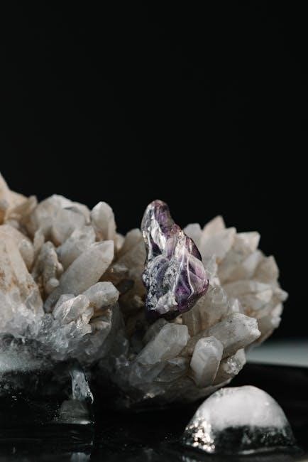 Free ID Card Format PDF Download | Create Custom Designs