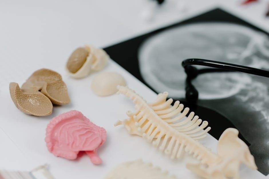 Free LSAT Practice Test PDF | Download with Answers